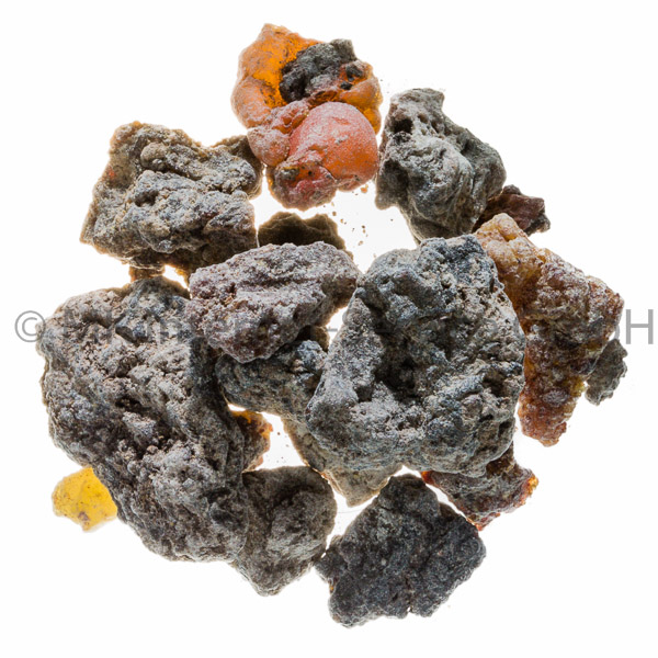 Copal negro (USA)